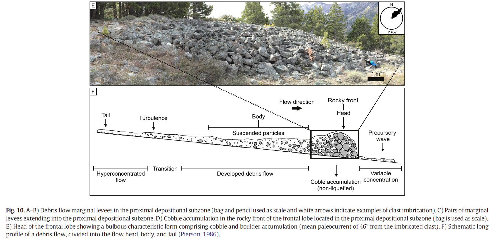 Rheologic survey of mass transport events from the geologic record of ...